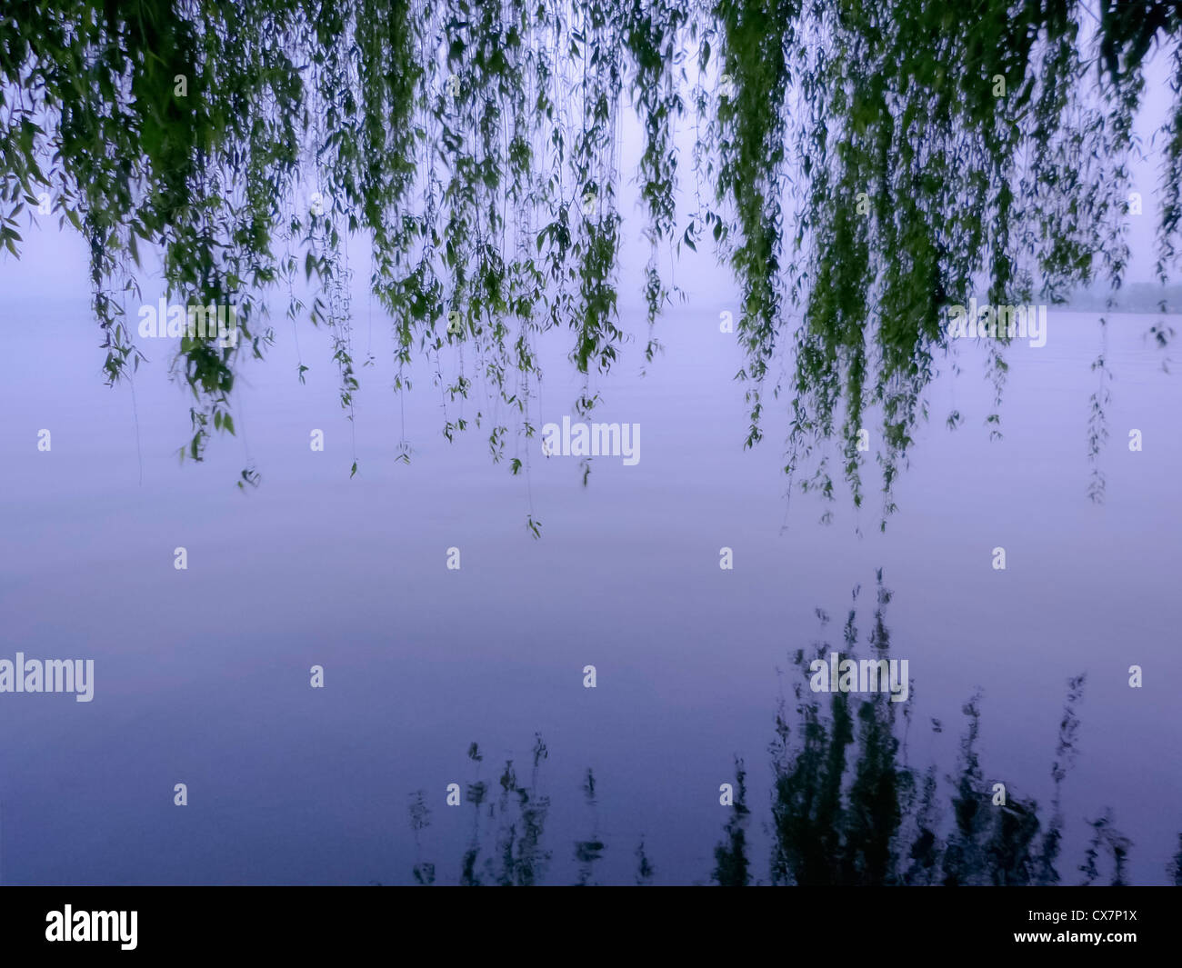 Over hanging branch hi-res stock photography and images - Alamy