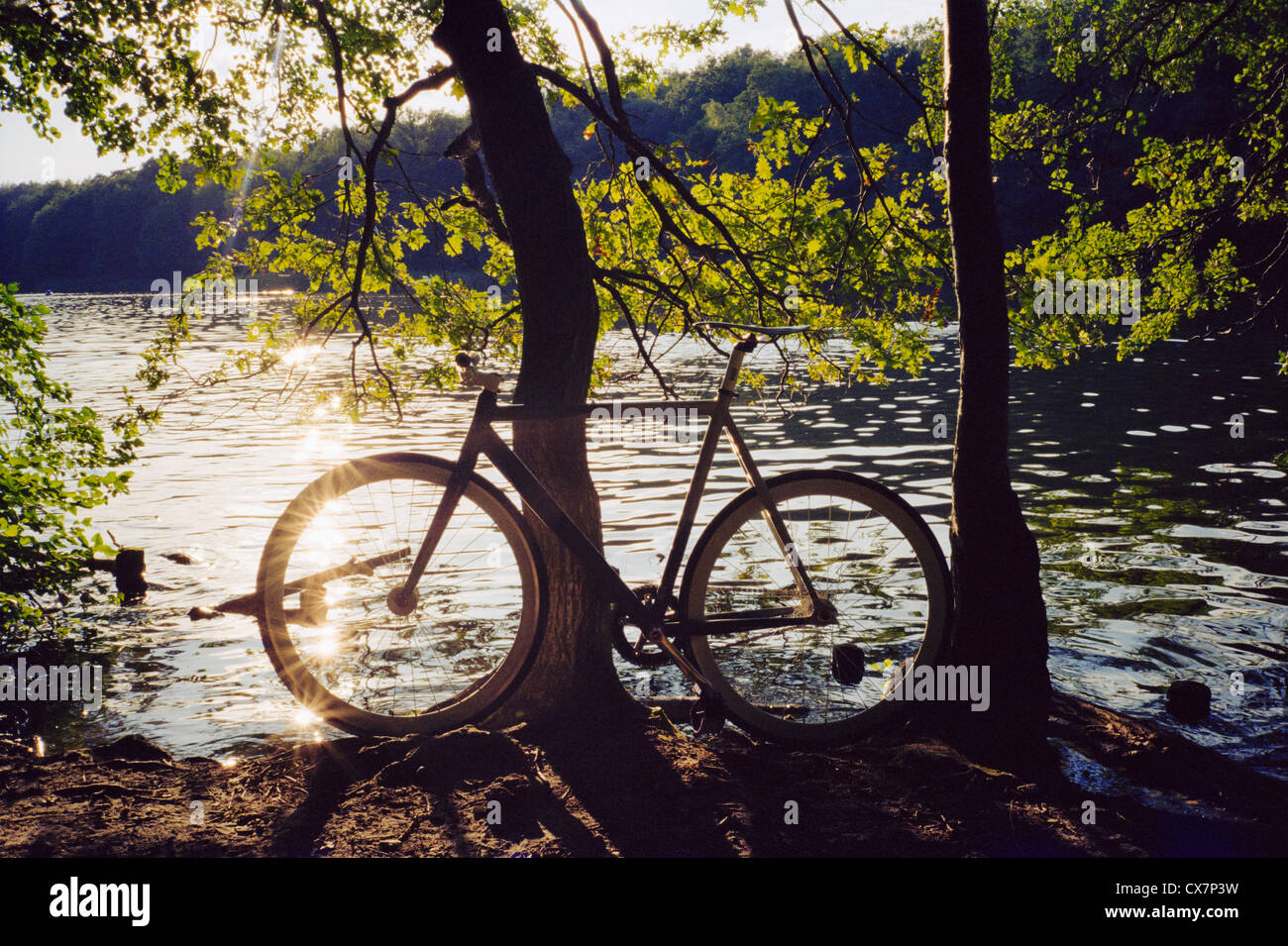 Bike on tree hi-res stock photography and images - Alamy