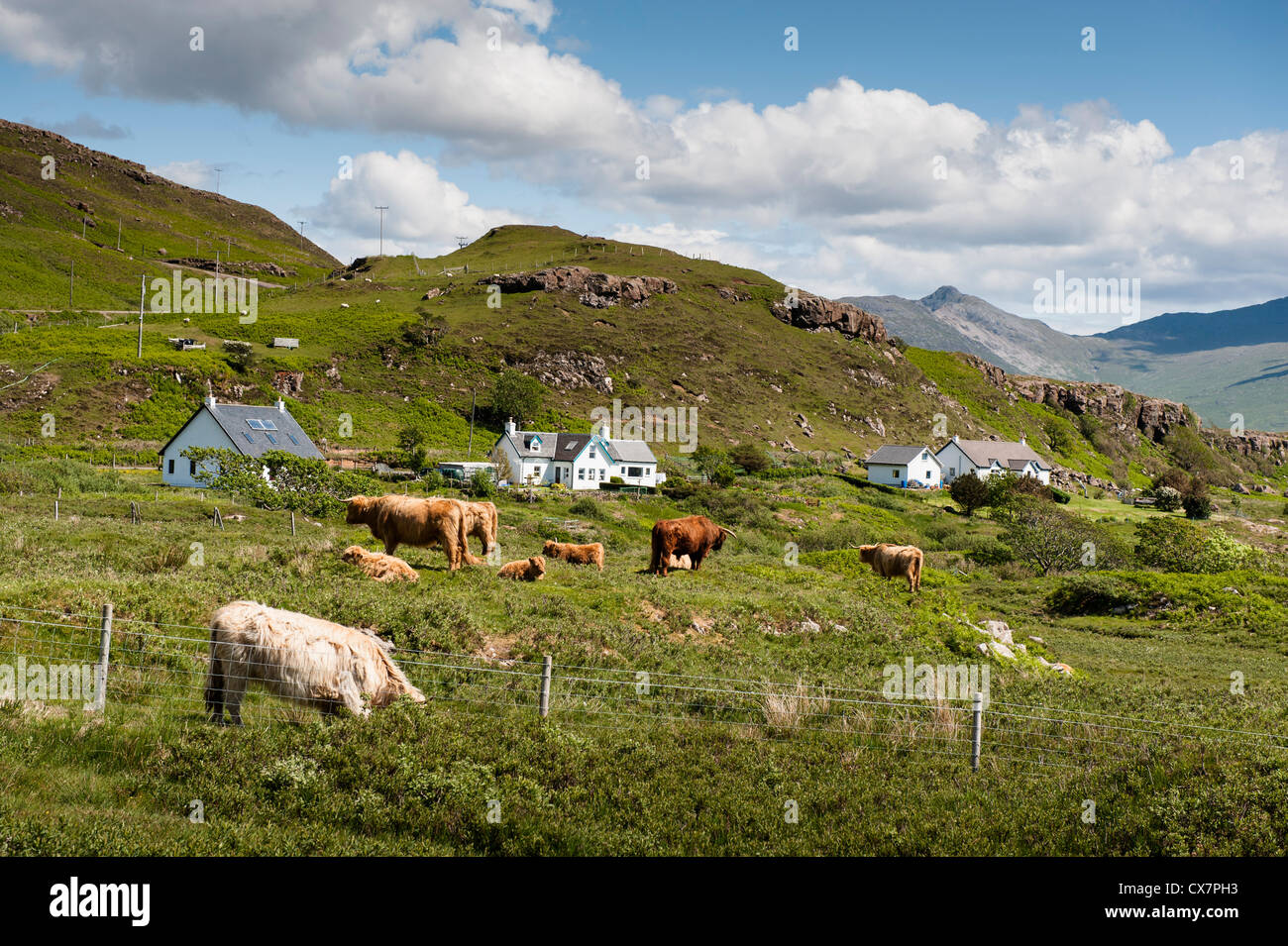 Scotland is a beautiful country full of green rolling hills, sharp ...