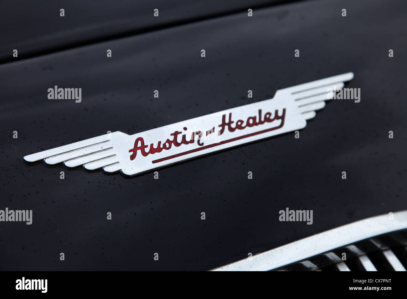 Austin healey logo hi-res stock photography and images - Alamy