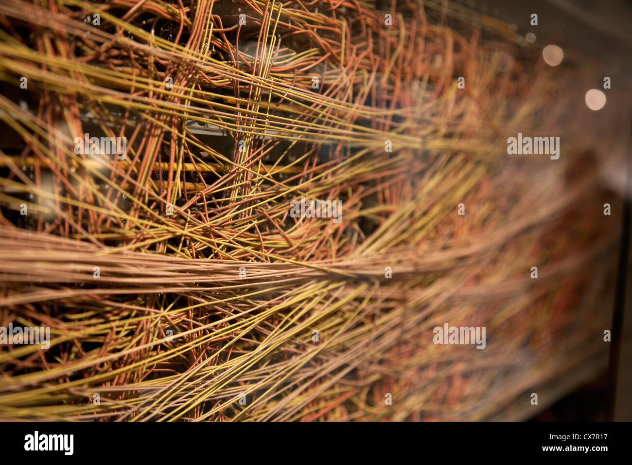 An abundance of computer cables behind glass Stock Photo - Alamy