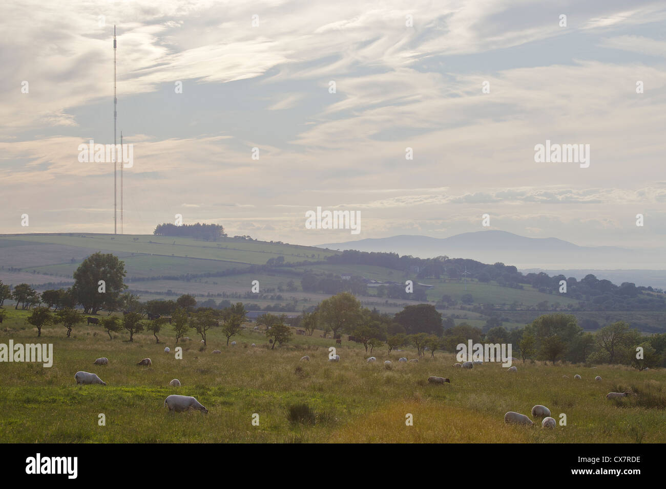 Criffel hi-res stock photography and images - Alamy