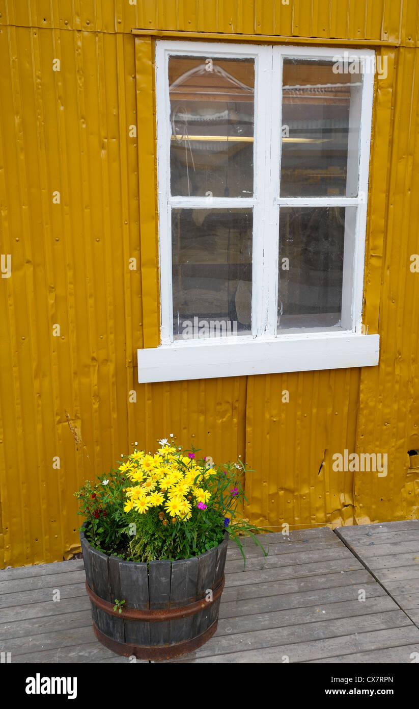 Window and flowerbed Stock Photo - Alamy