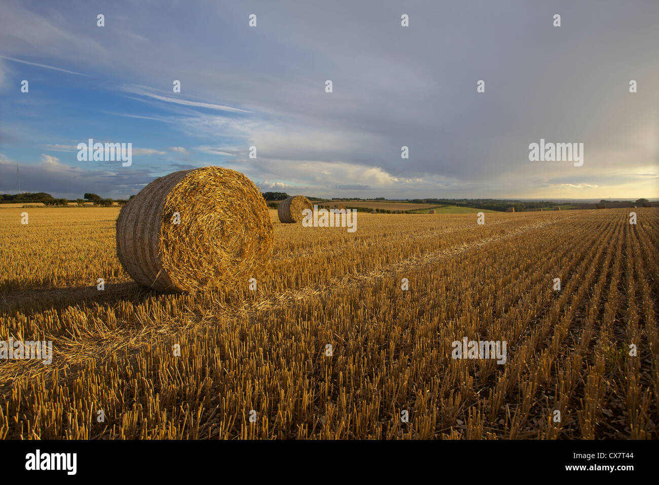 Field farm lincolnshire wolds hi-res stock photography and images - Alamy