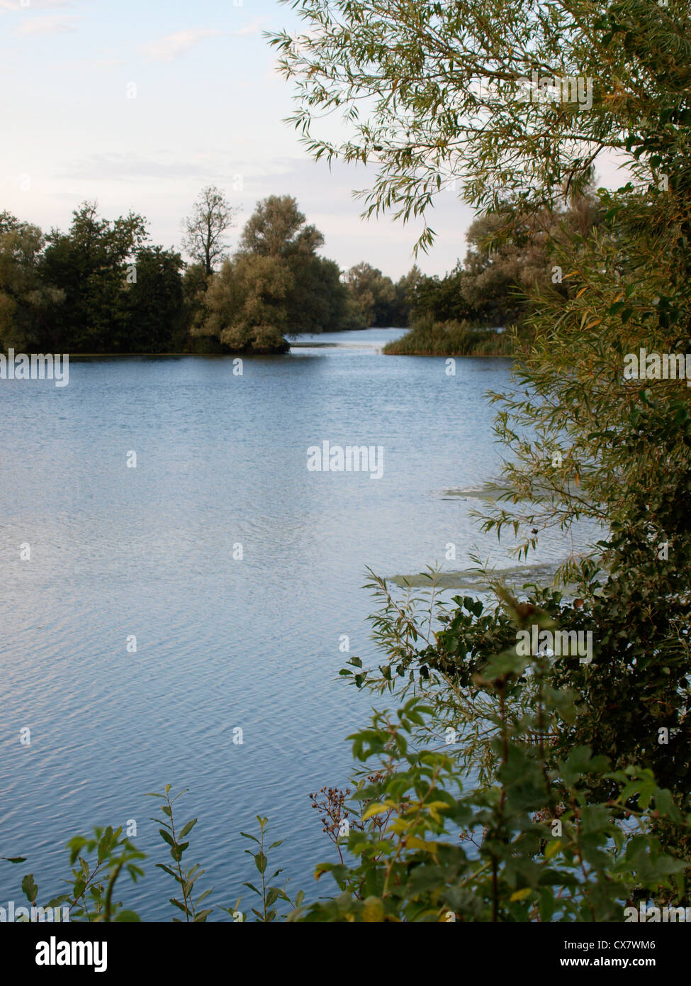 Paxton Pits Nature Reserve, Little Paxton, St Neots, Cambridgeshire, UK ...