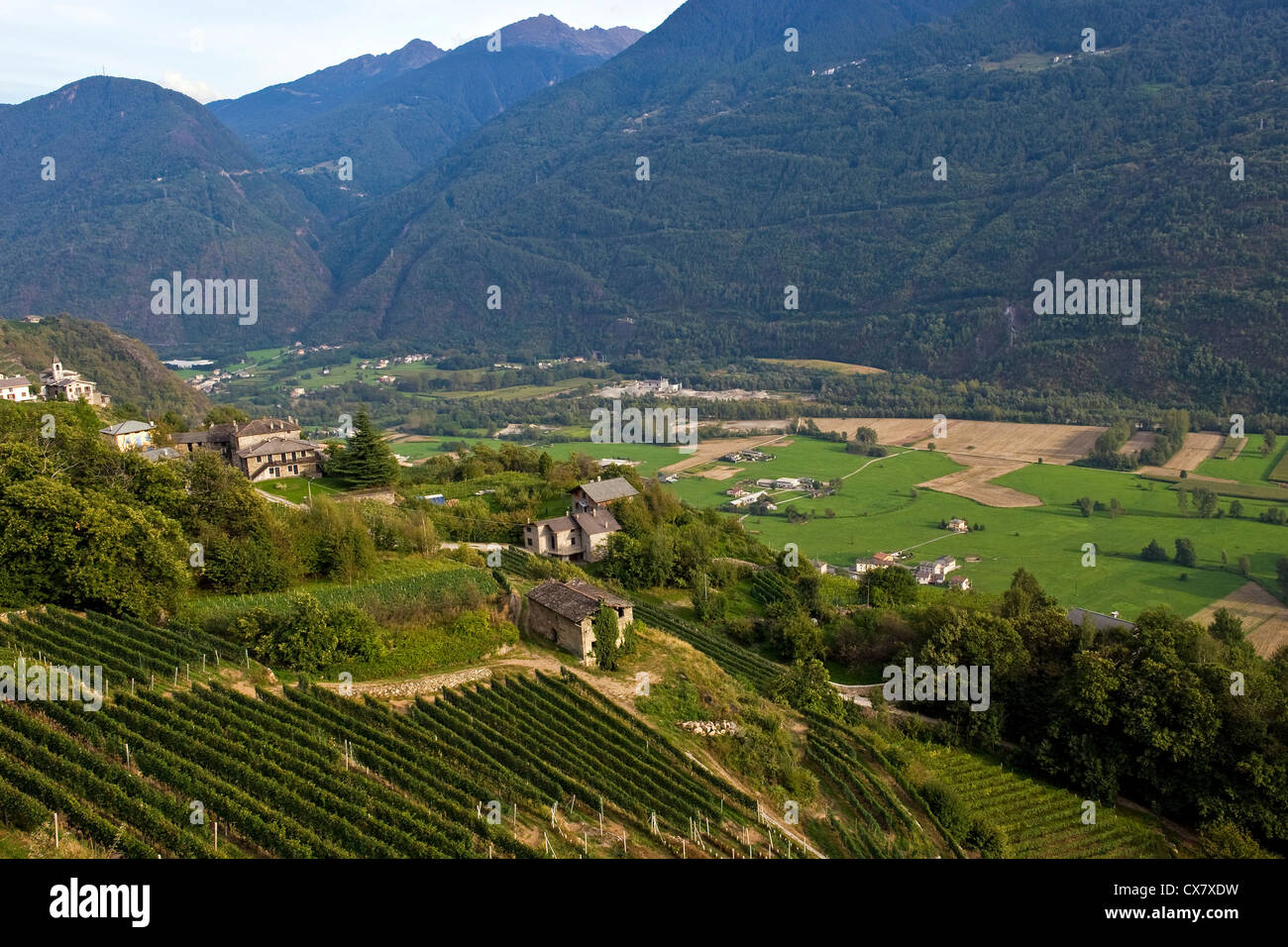 Italy, Lombardy, Valtellina, landscape, vineyards Stock Photo - Alamy