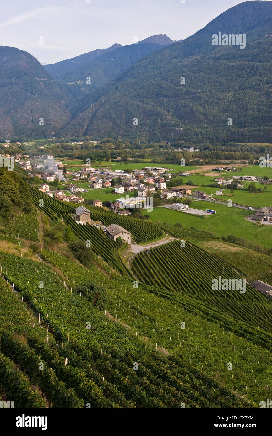 Italy, Lombardy, Valtellina, landscape, vineyards Stock Photo - Alamy