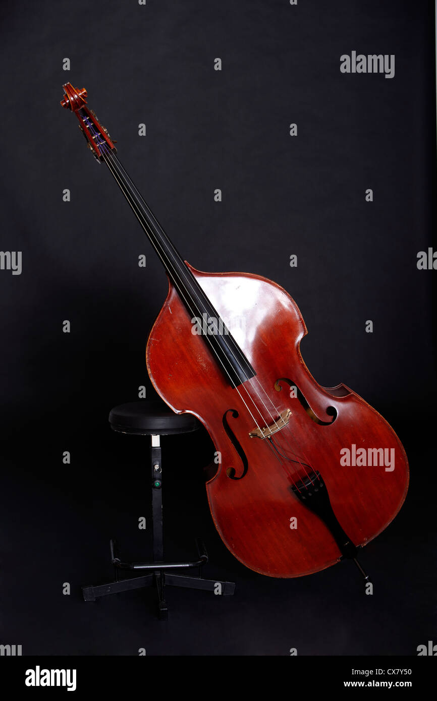 Contrabass in front of black background Stock Photo - Alamy