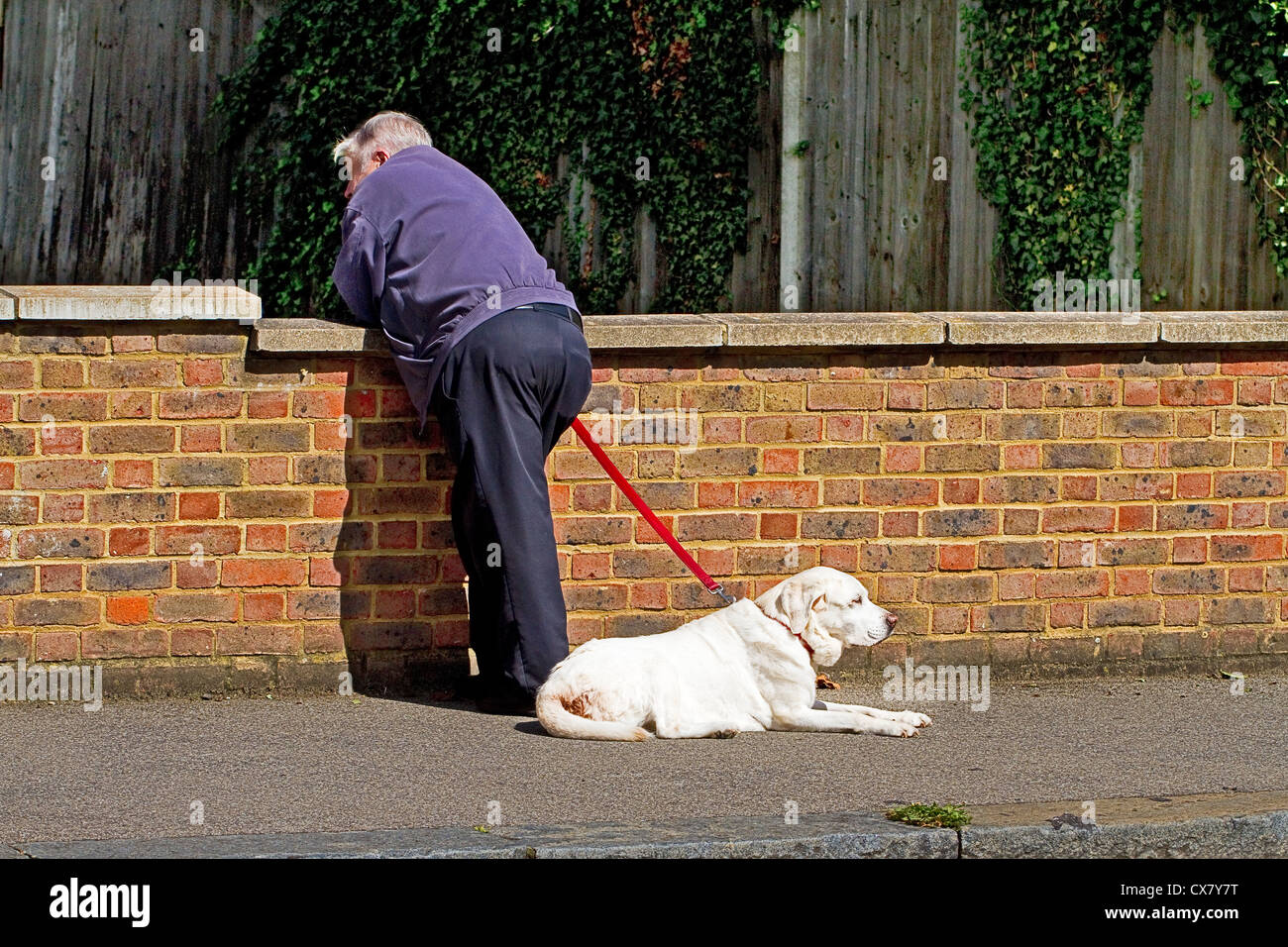 One man and his dog Stock Photo - Alamy