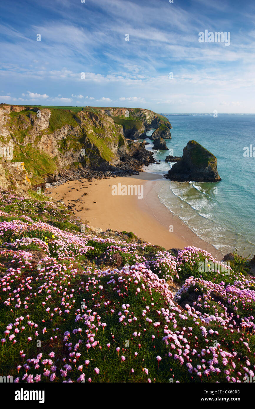 On the clifftop hi-res stock photography and images - Alamy