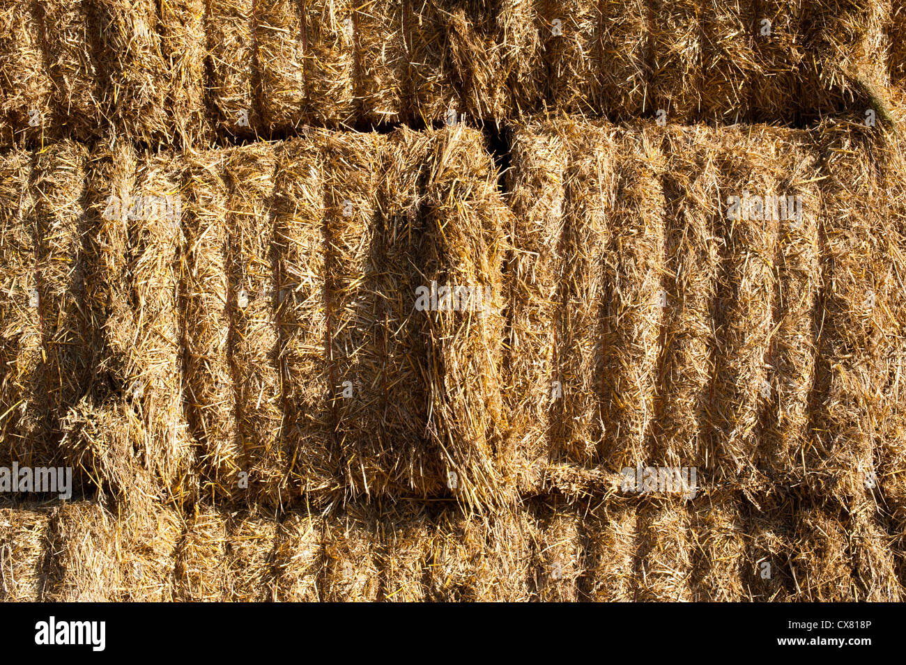 Stack of hay bales in a Shropshire field Stock Photo - Alamy