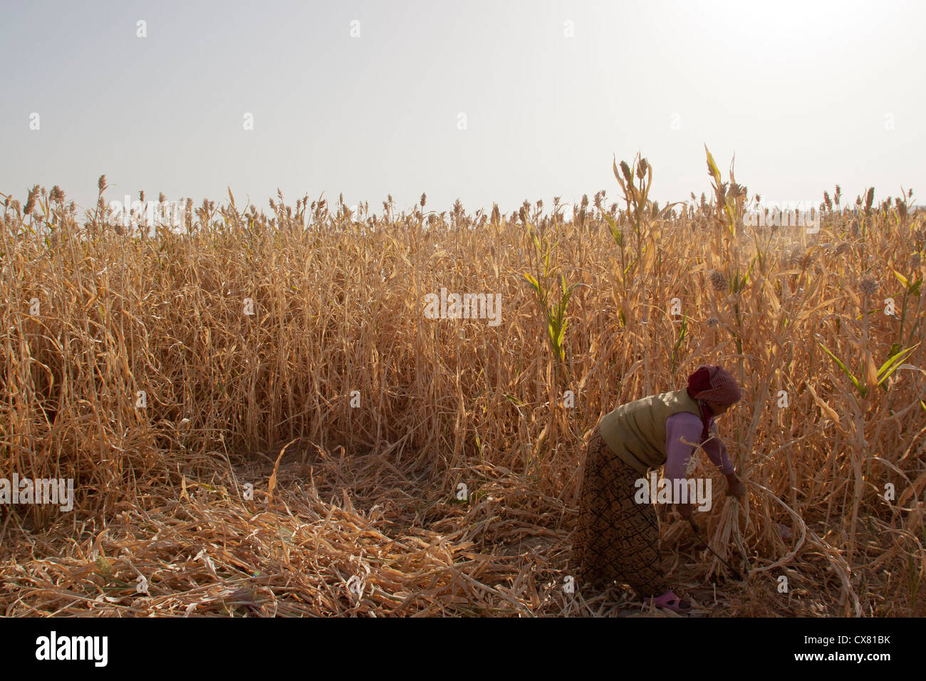 Uyghur woman turpan xinjiang hi-res stock photography and images - Alamy