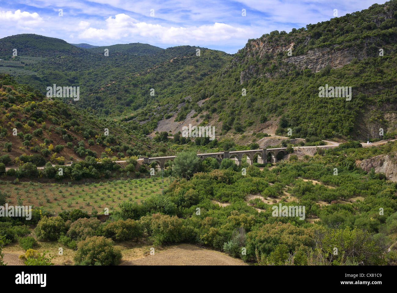 Countryside near Moron De La Frontera in Spain Stock Photo - Alamy