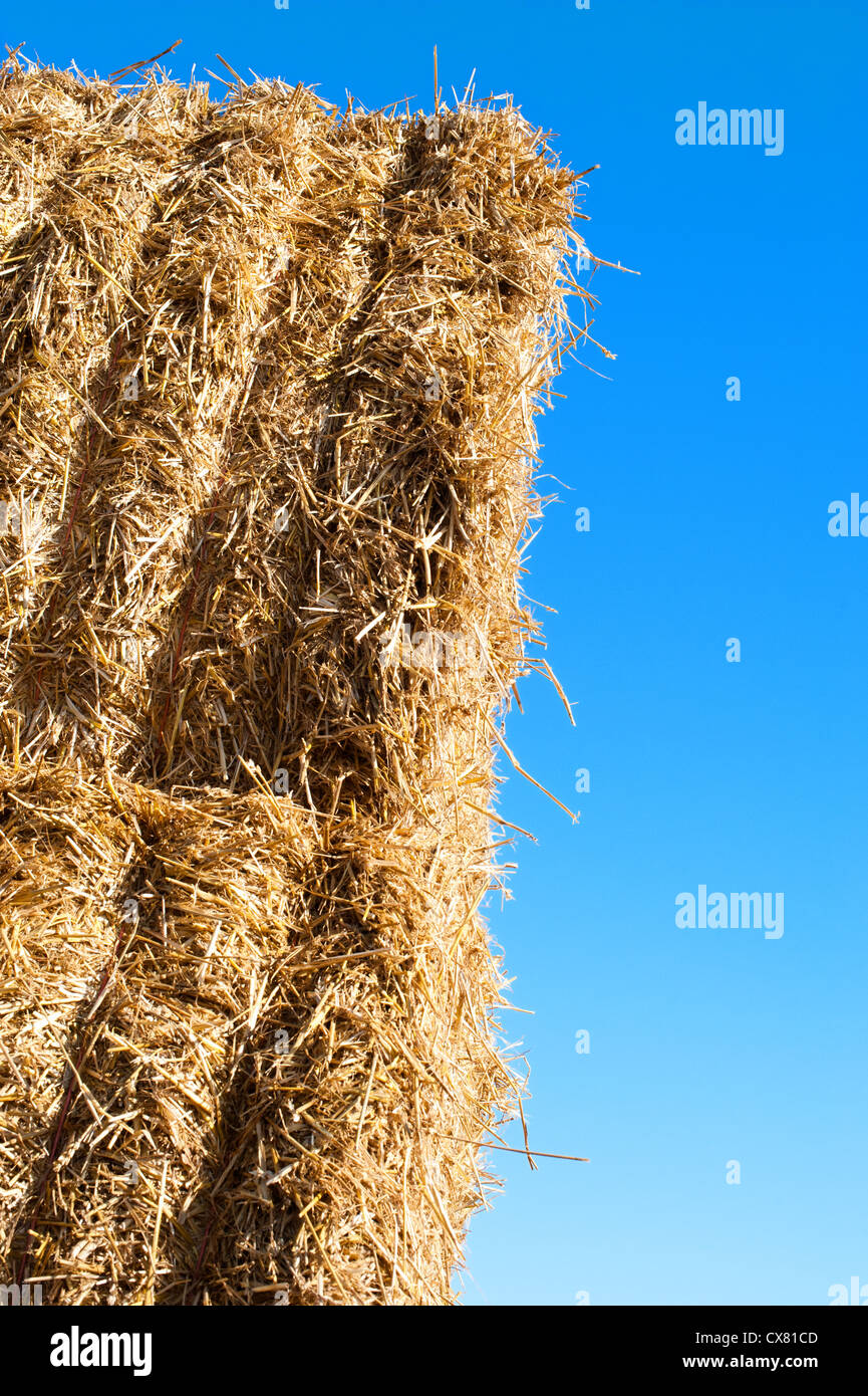 Stack of hay bales in a Shropshire field Stock Photo - Alamy