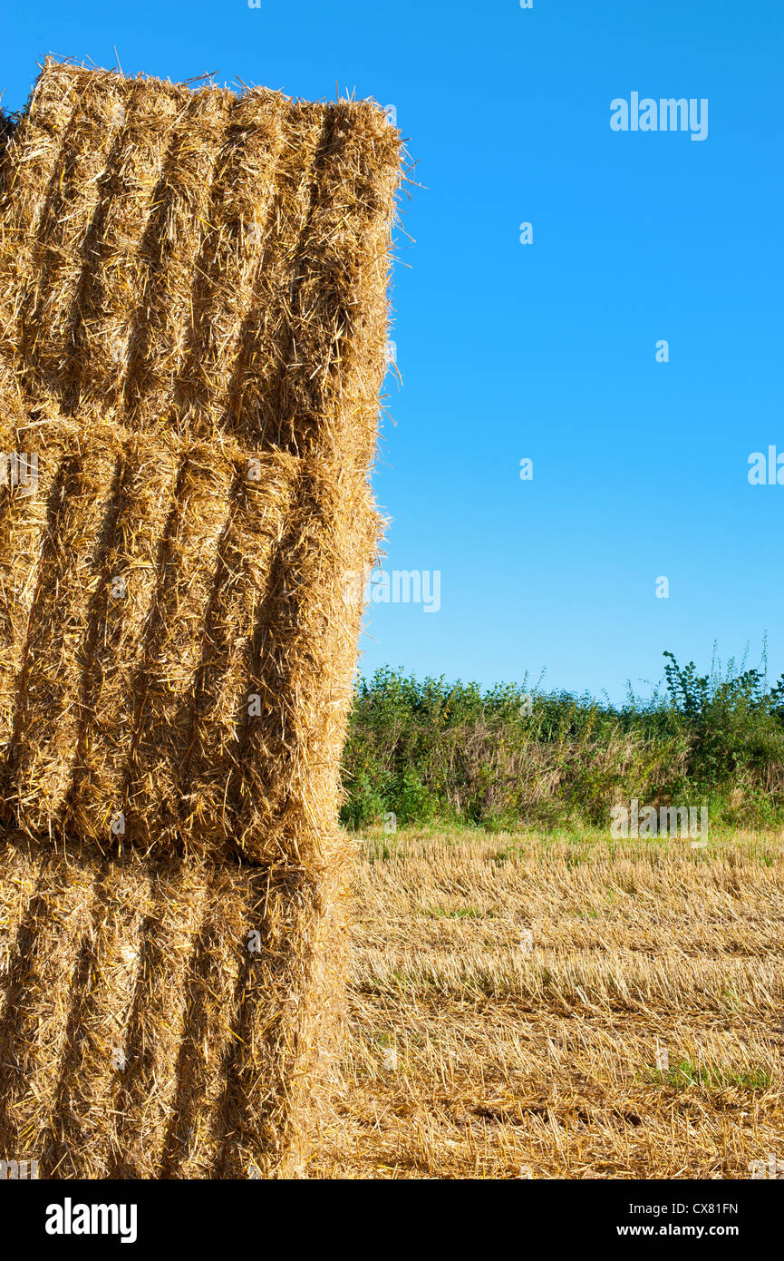 Stack of hay bales in a Shropshire field Stock Photo - Alamy