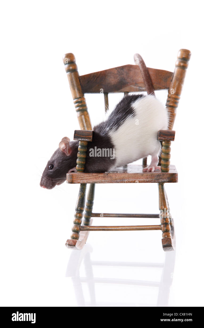 Rocking ship hi-res stock photography and images - Alamy