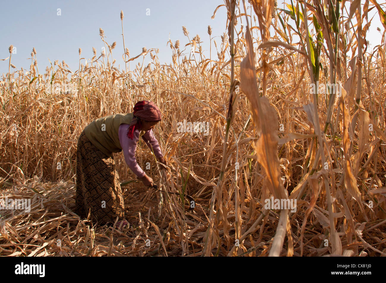 Uyghur woman turpan xinjiang hi-res stock photography and images - Alamy
