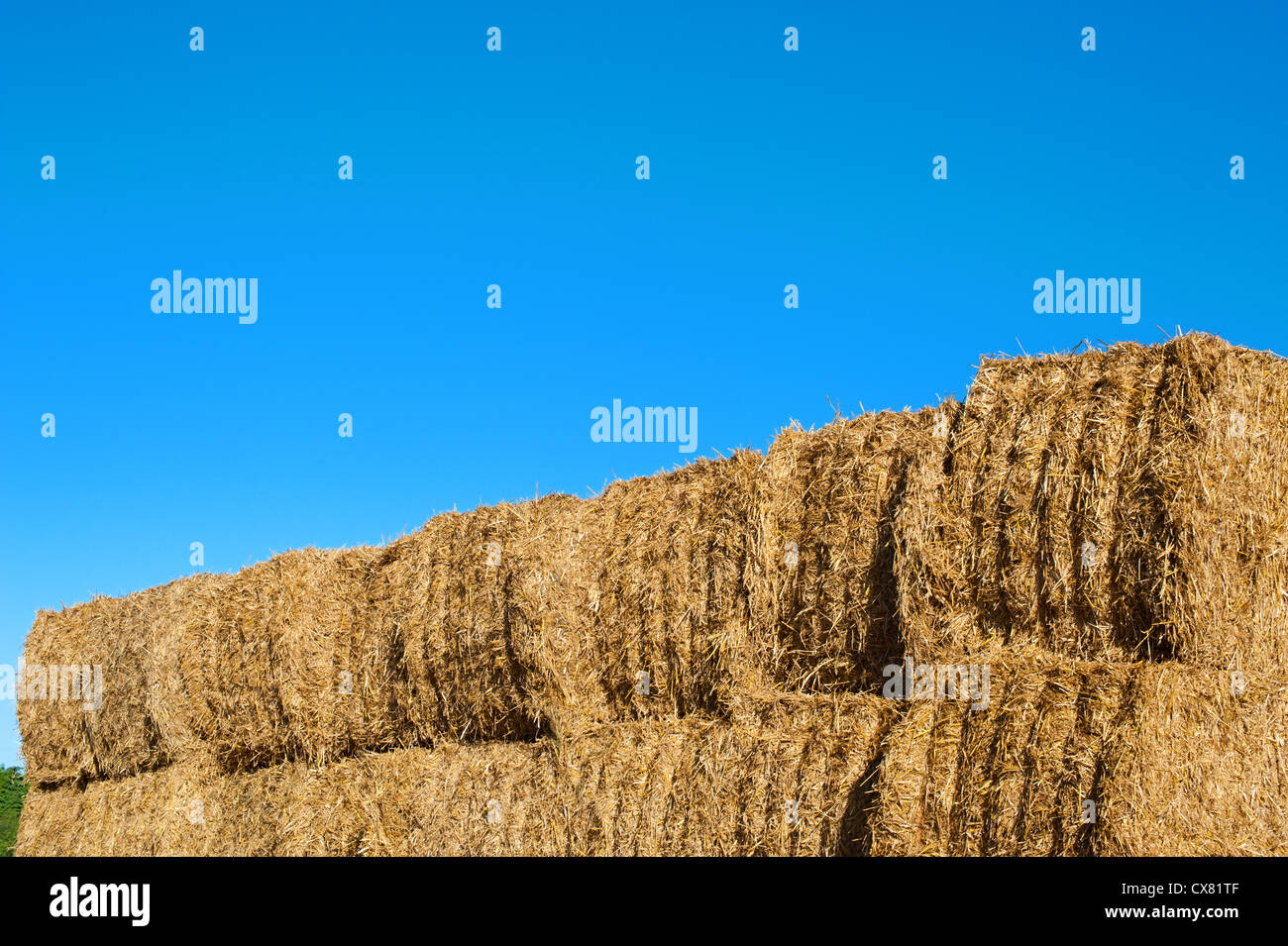 Stack of hay bales in a Shropshire field Stock Photo - Alamy