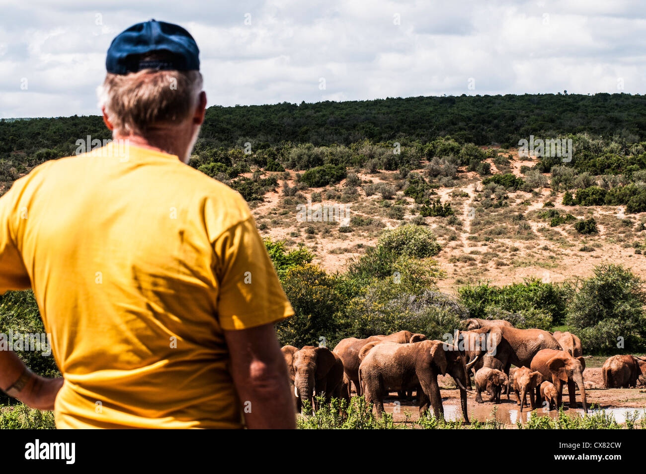 Addo National Park Stock Photo - Alamy
