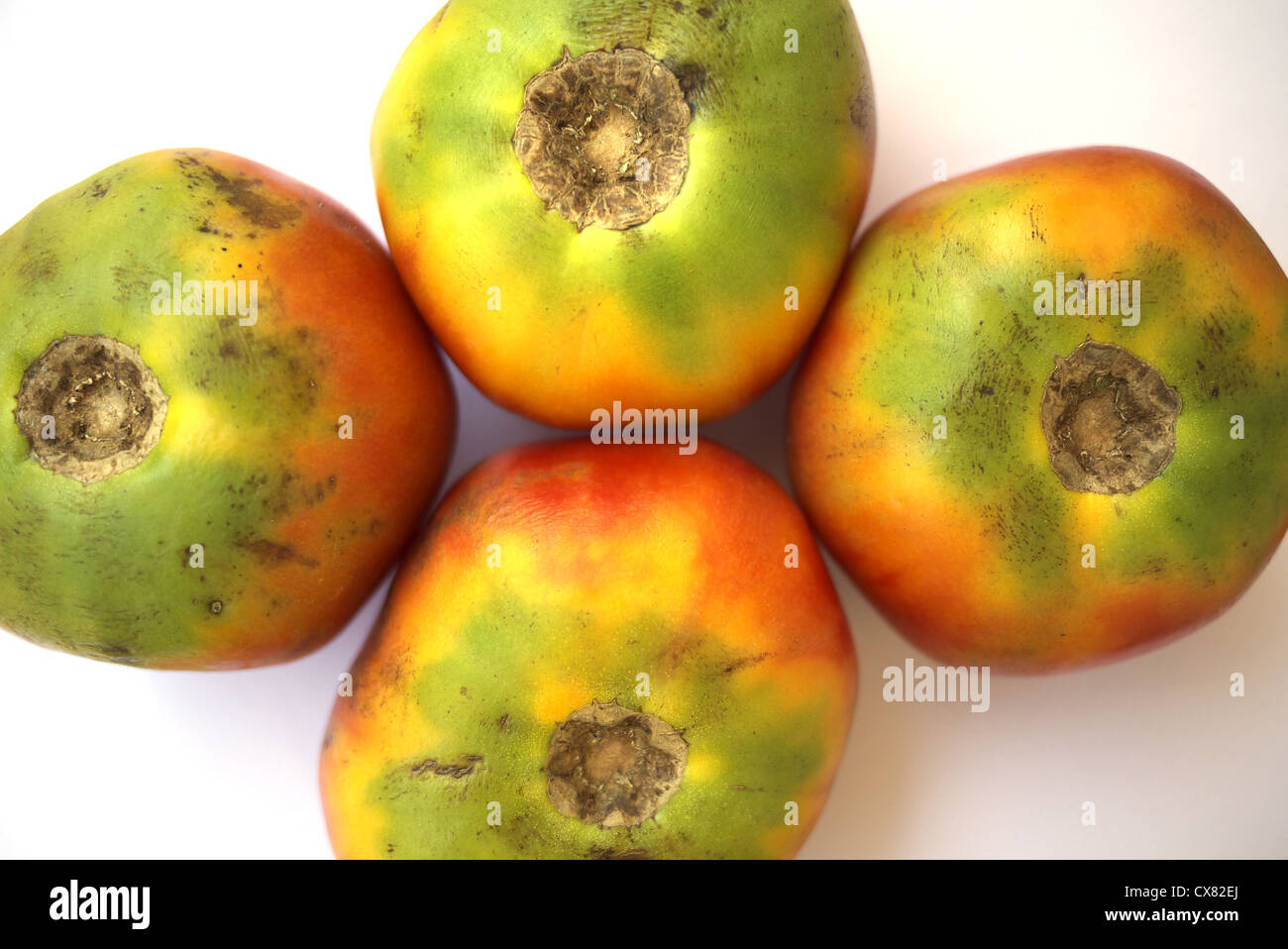 Coloured tomatoes hi-res stock photography and images - Alamy