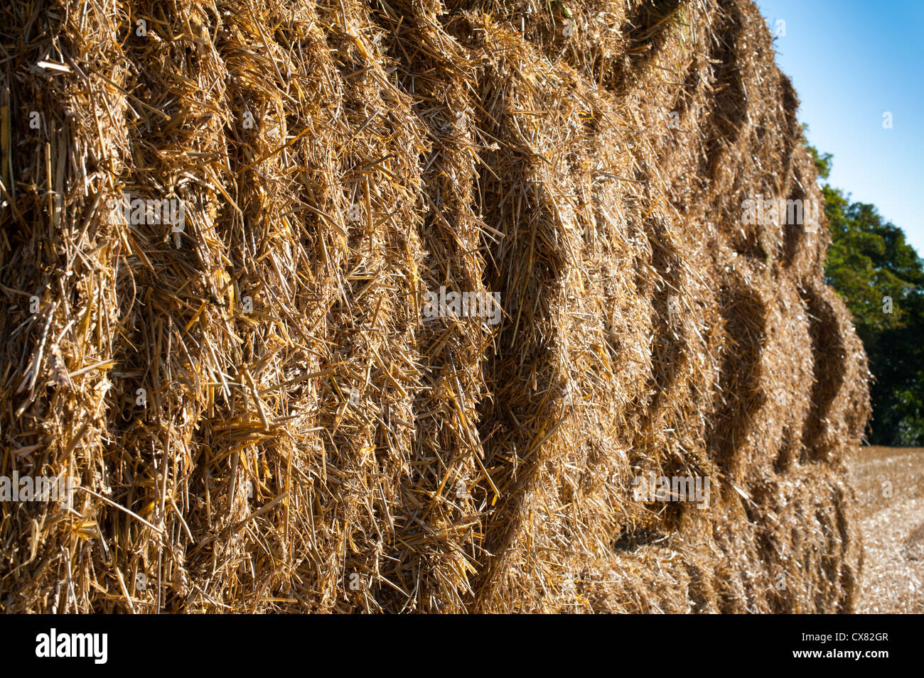 Haystack in a farm hi-res stock photography and images - Alamy