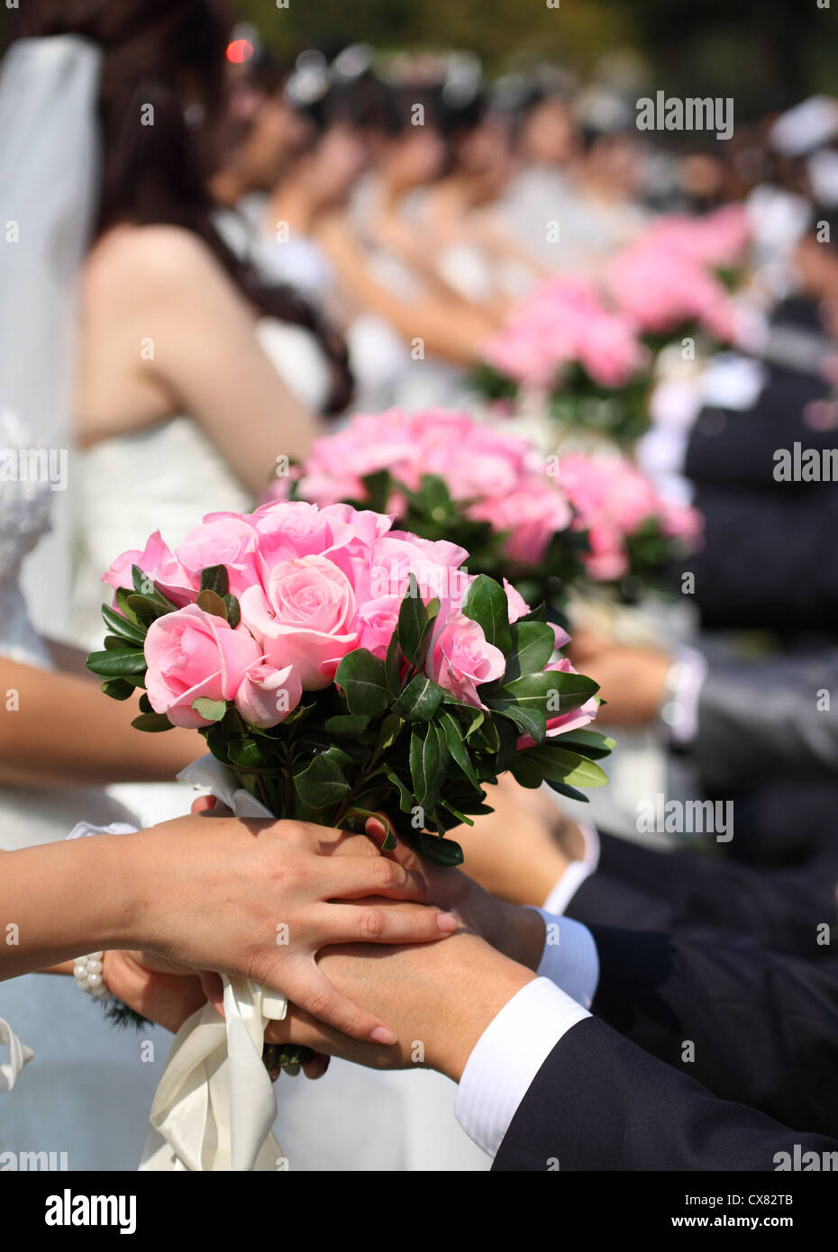 White rose group hi-res stock photography and images - Alamy