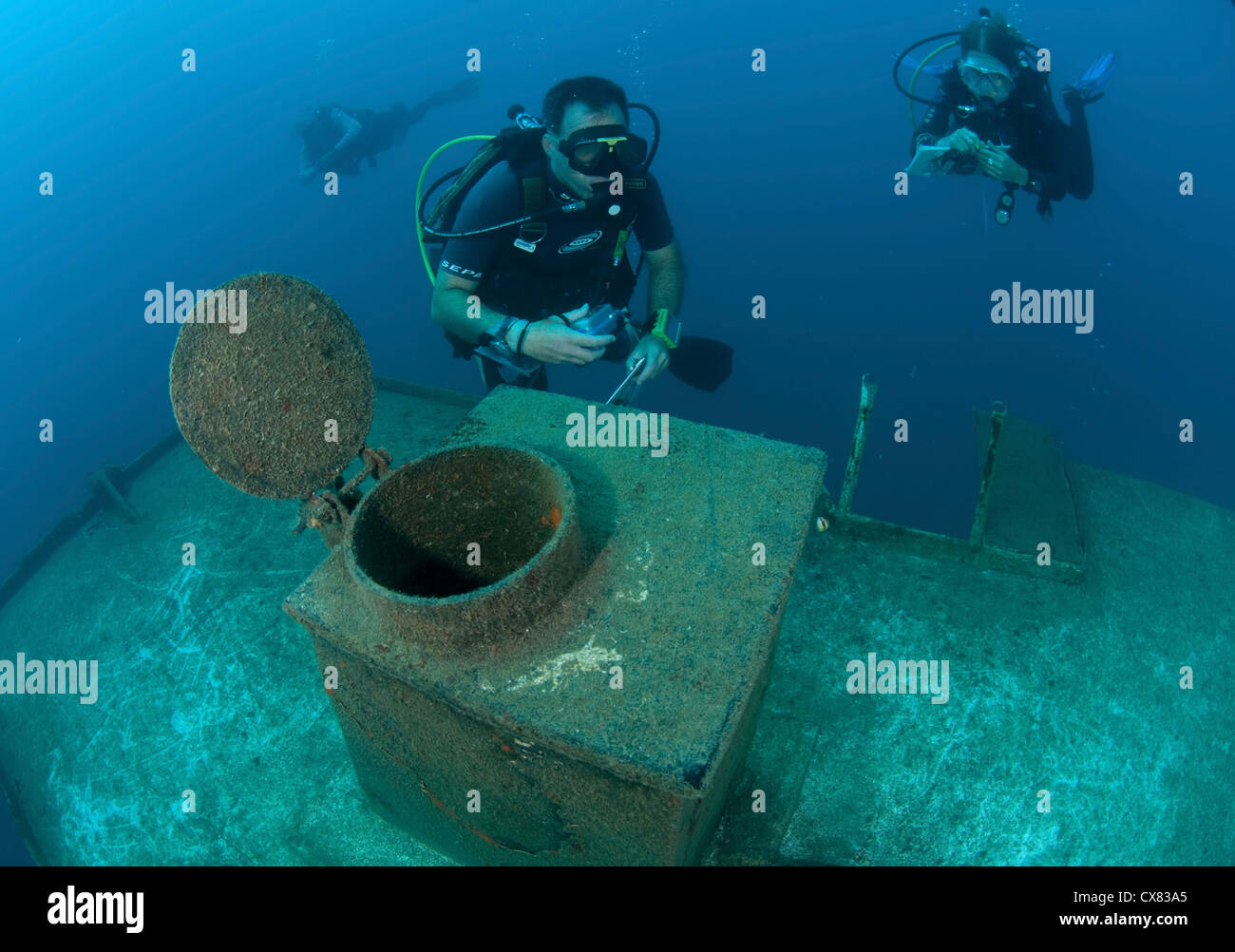 Israel nitzan hi-res stock photography and images - Alamy