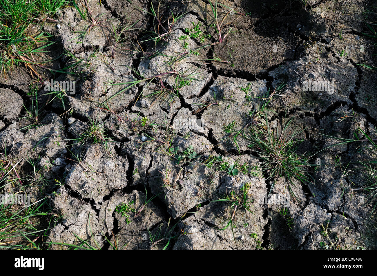 cracked dried earth drought dry up climate change regrowth rains rain ...