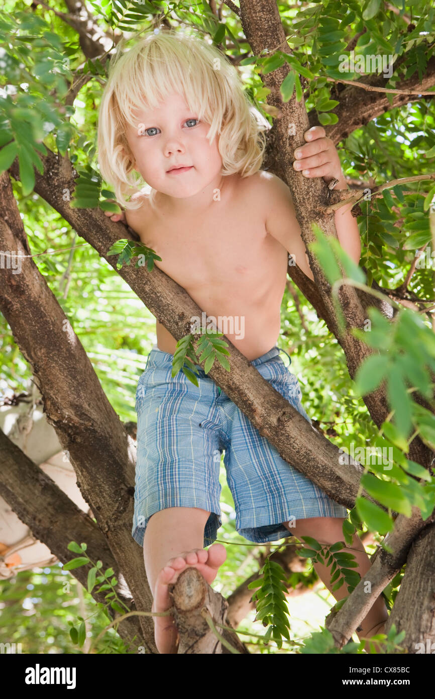 Boy climbing tree barefoot hi-res stock photography and images - Alamy