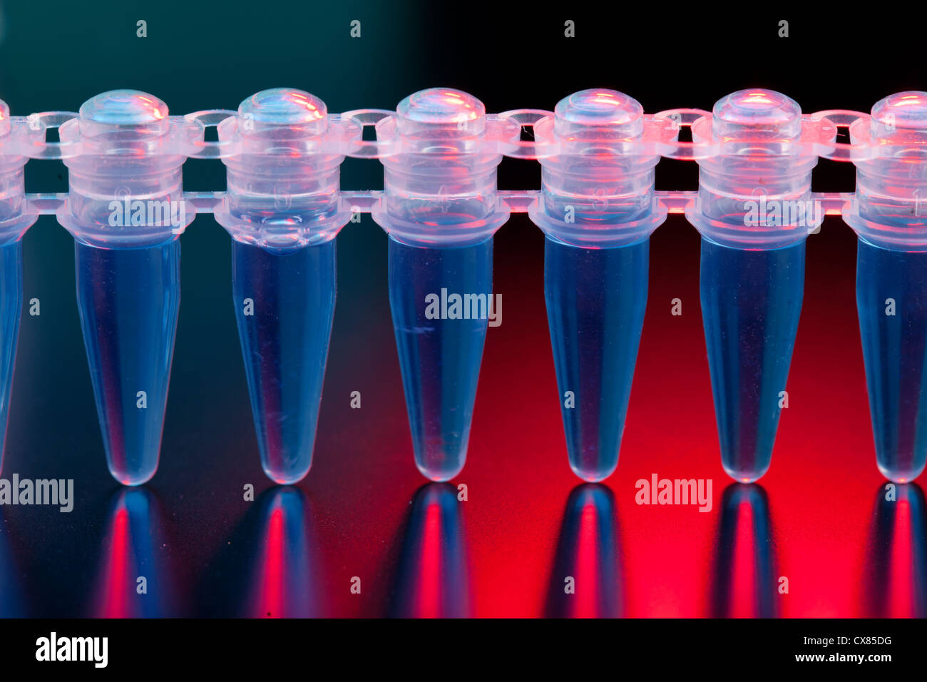 Cell cultures in micro tubes Stock Photo - Alamy