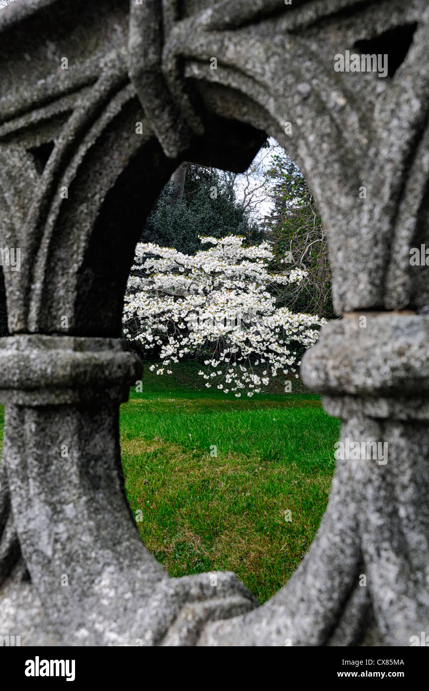 Brabazon family hi-res stock photography and images - Alamy
