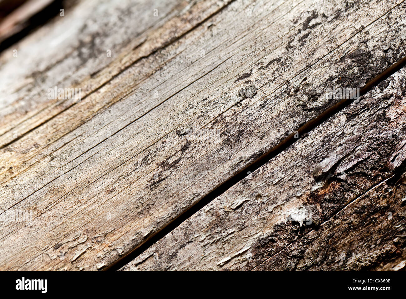Old grey wooden texture Stock Photo - Alamy