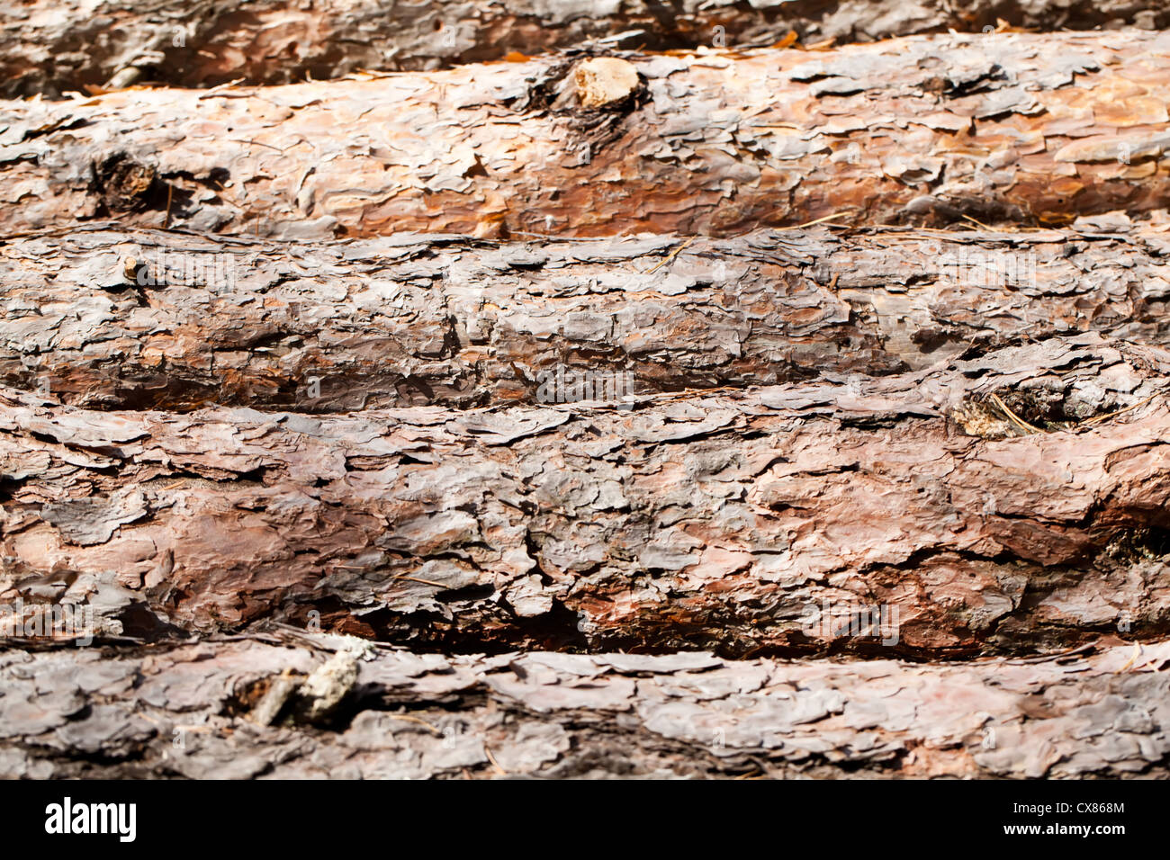 Logs horizontal hi-res stock photography and images - Alamy