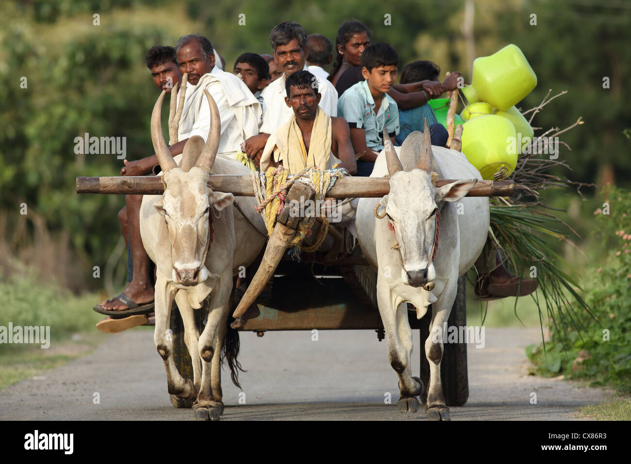 Bullock cart transporting villagers Andhra Pradesh South India Stock ...