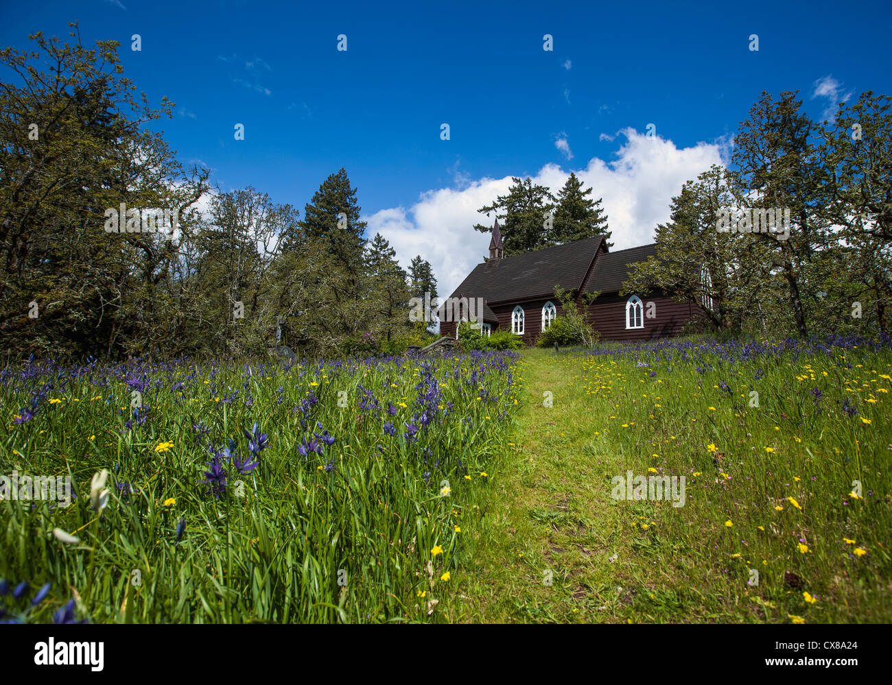 Camas valley hi-res stock photography and images - Alamy