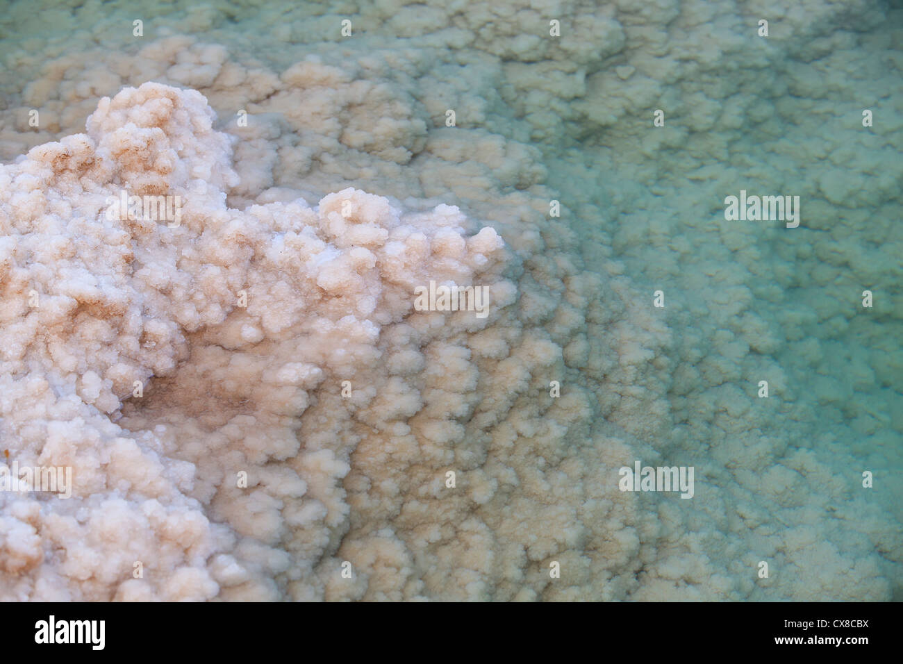 Salt Formations In The Dead Sea; Moab Israel Stock Photo - Alamy