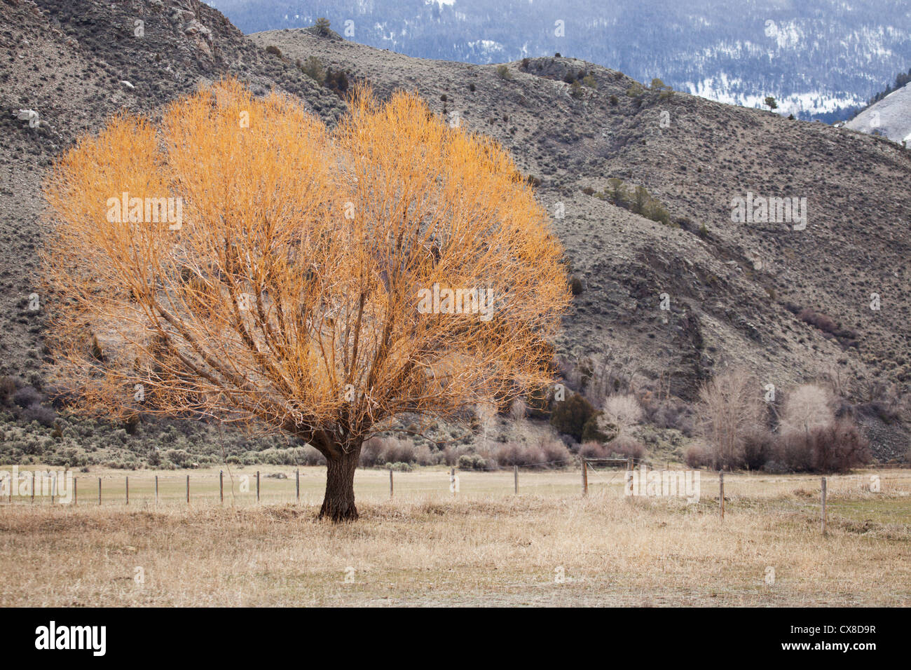 Bozeman montana fall hi-res stock photography and images - Alamy