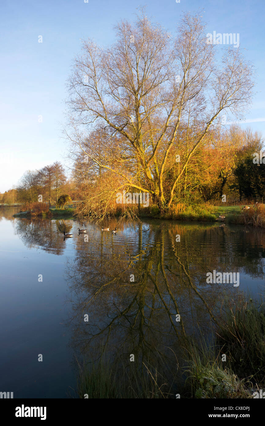 arrow valley lake country park redditch worcestershire midlands england ...