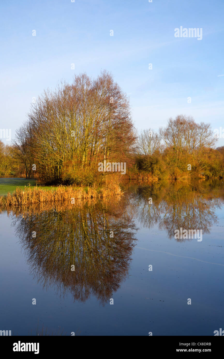 arrow valley lake country park redditch worcestershire midlands england ...