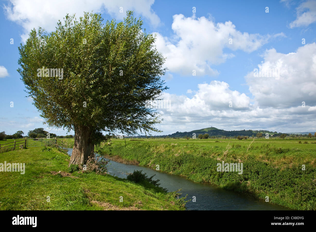 A view across the River Brue towards Glastonbury Tor in Somerset UK ...