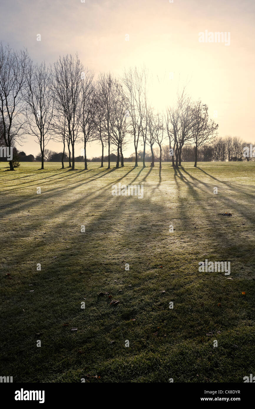 Golf course sunrise hi-res stock photography and images - Alamy