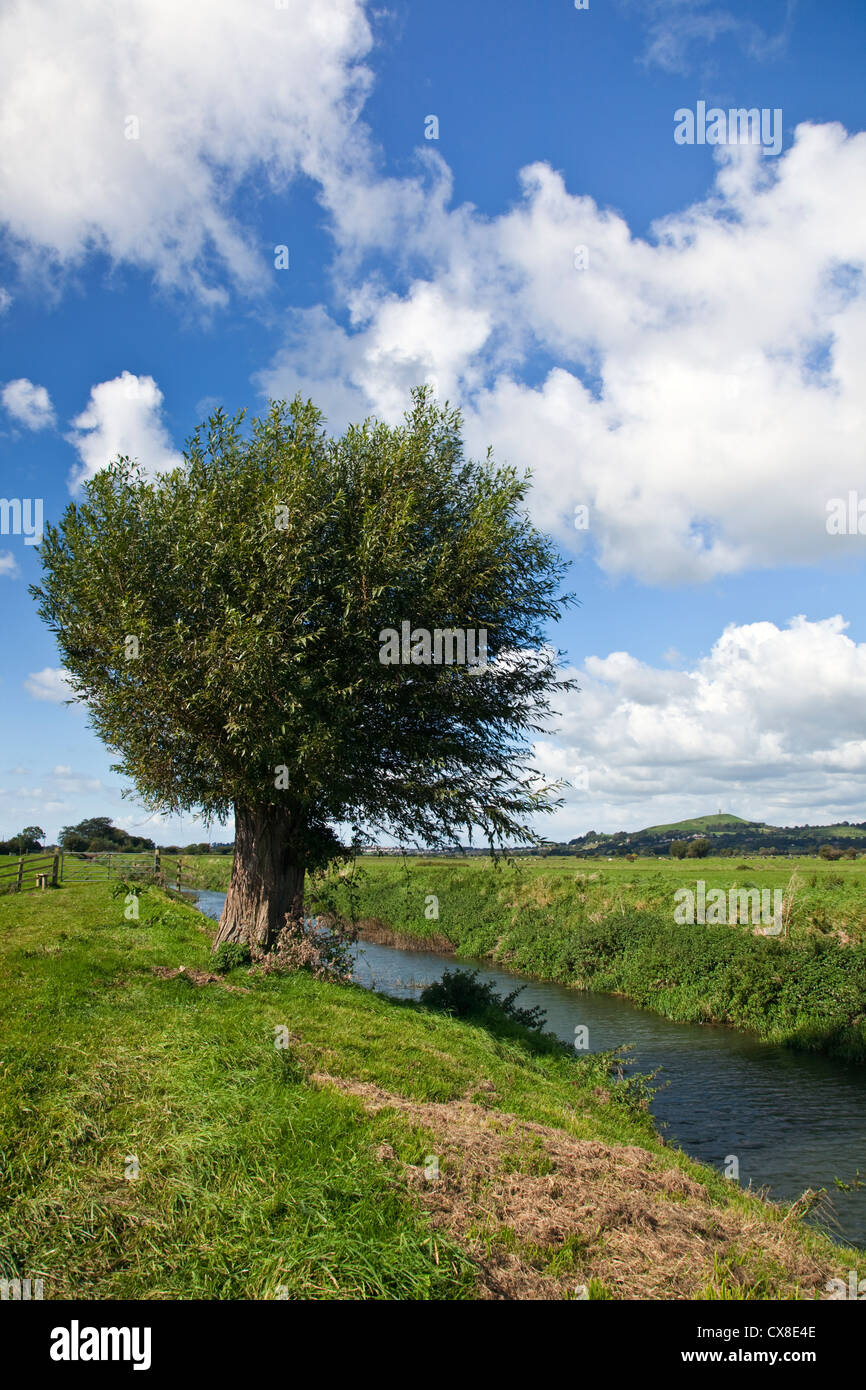 River brue hi-res stock photography and images - Alamy