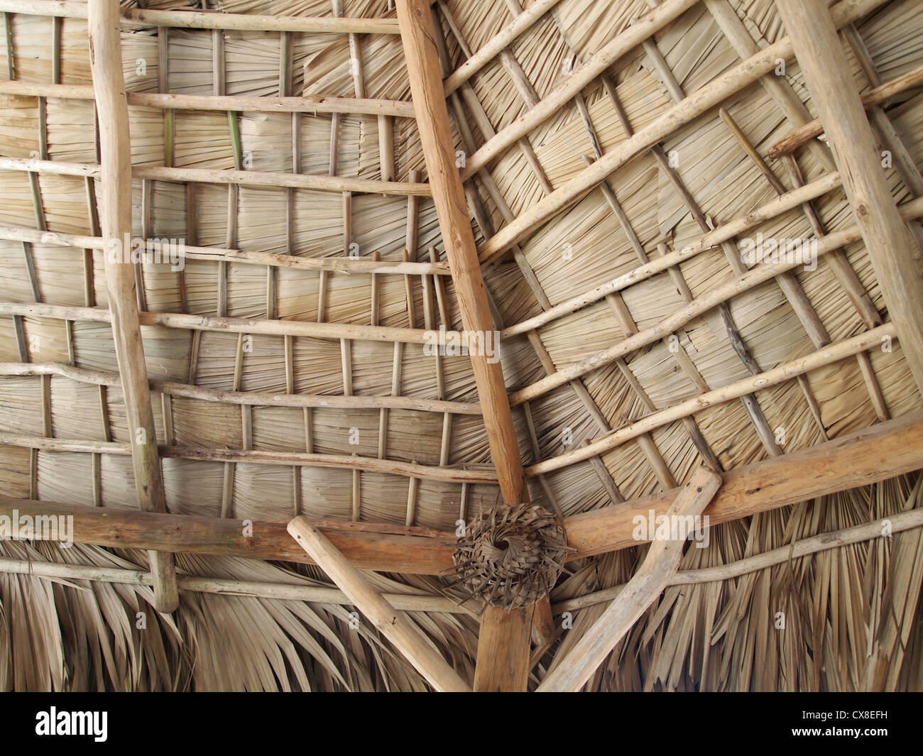 Closeup shot thatched roof hi-res stock photography and images - Alamy