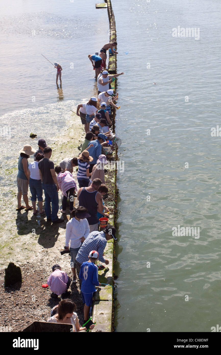 People catching crabs (crabbing) from Littlehampton beach into the ...
