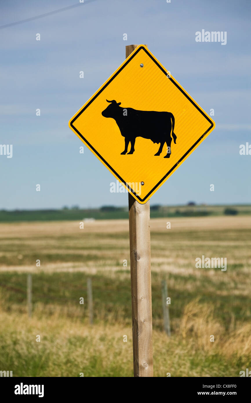 No cow road sign hi-res stock photography and images - Alamy