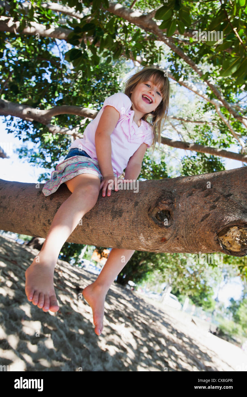 A Girl Sitting On A Tree Branch; Gold Coast Queensland Australia Stock ...
