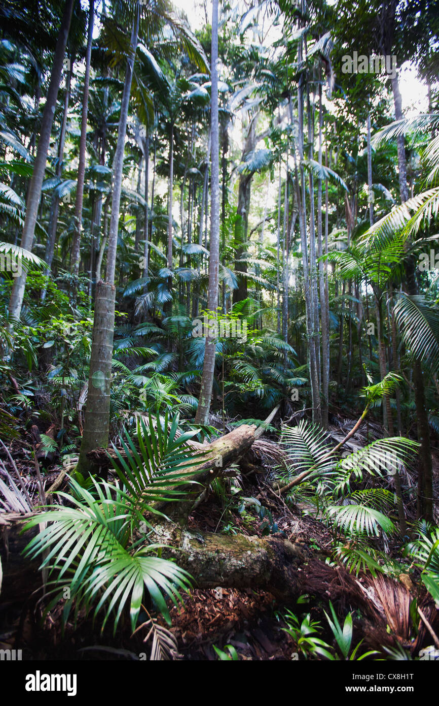 Semi tropical hi-res stock photography and images - Alamy