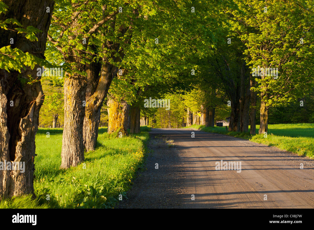 Farnham road hi-res stock photography and images - Alamy
