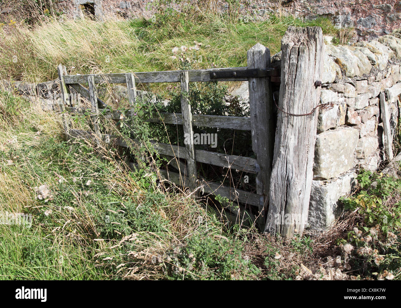 Old wooden farm gate West Kyloe Mill, north east England UK Stock Photo ...
