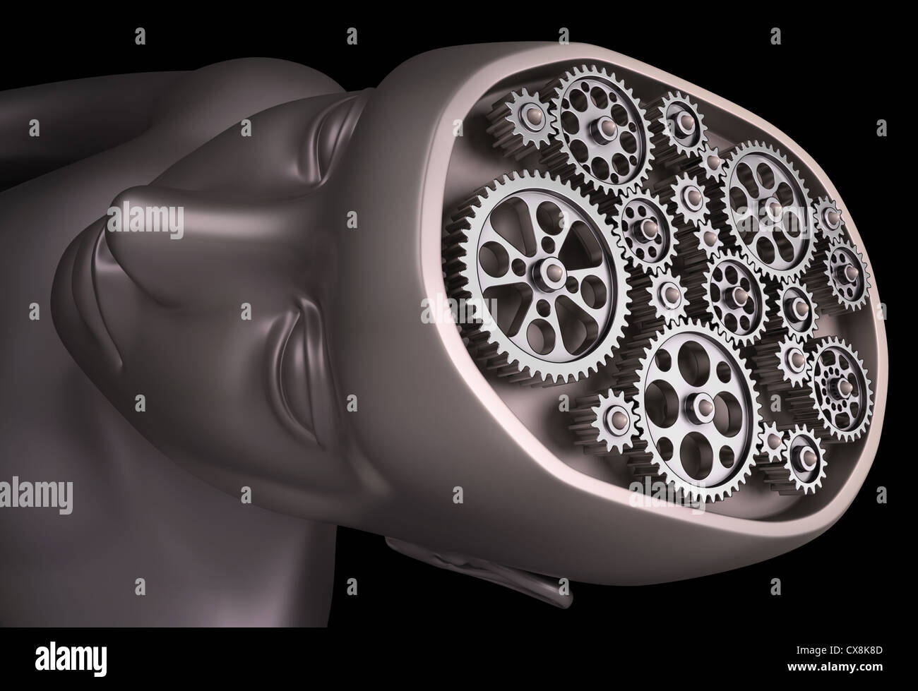 The human brain is a set of gears. Important parts of our brain are ...
